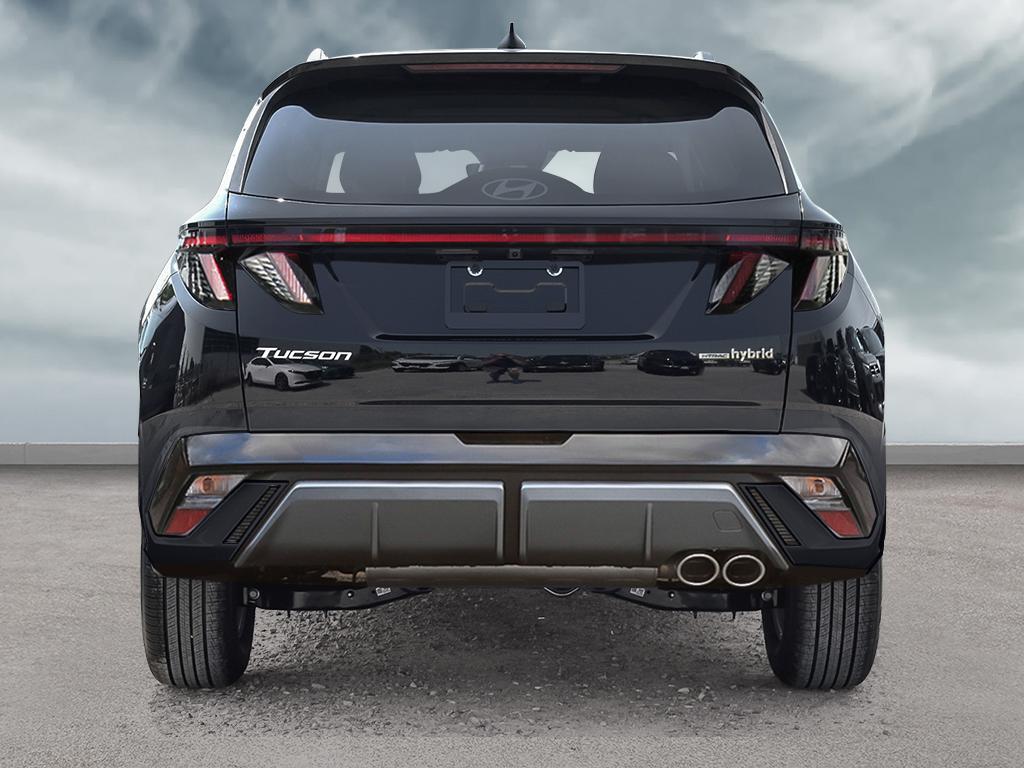 Performance Hyundai in St. Catharines, ON - 362 Vehicles | Cardog