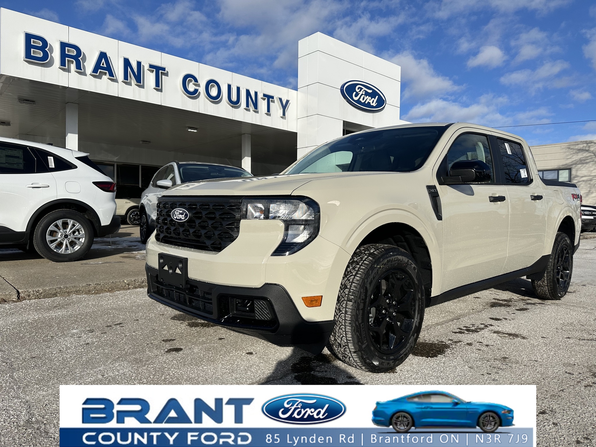 2025 Ford Maverick in Brantford, ON | Brant County Ford - 3FTTW8JA8SRA04768