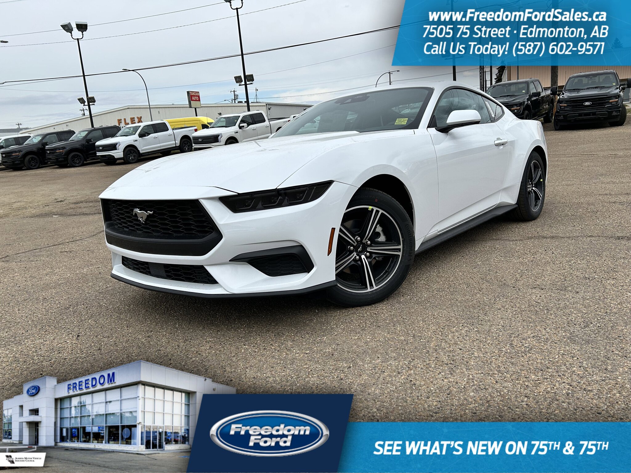 2025 Ford Mustang in Edmonton, AB | Waterloo Ford - 1FA6P8TH2S5114566