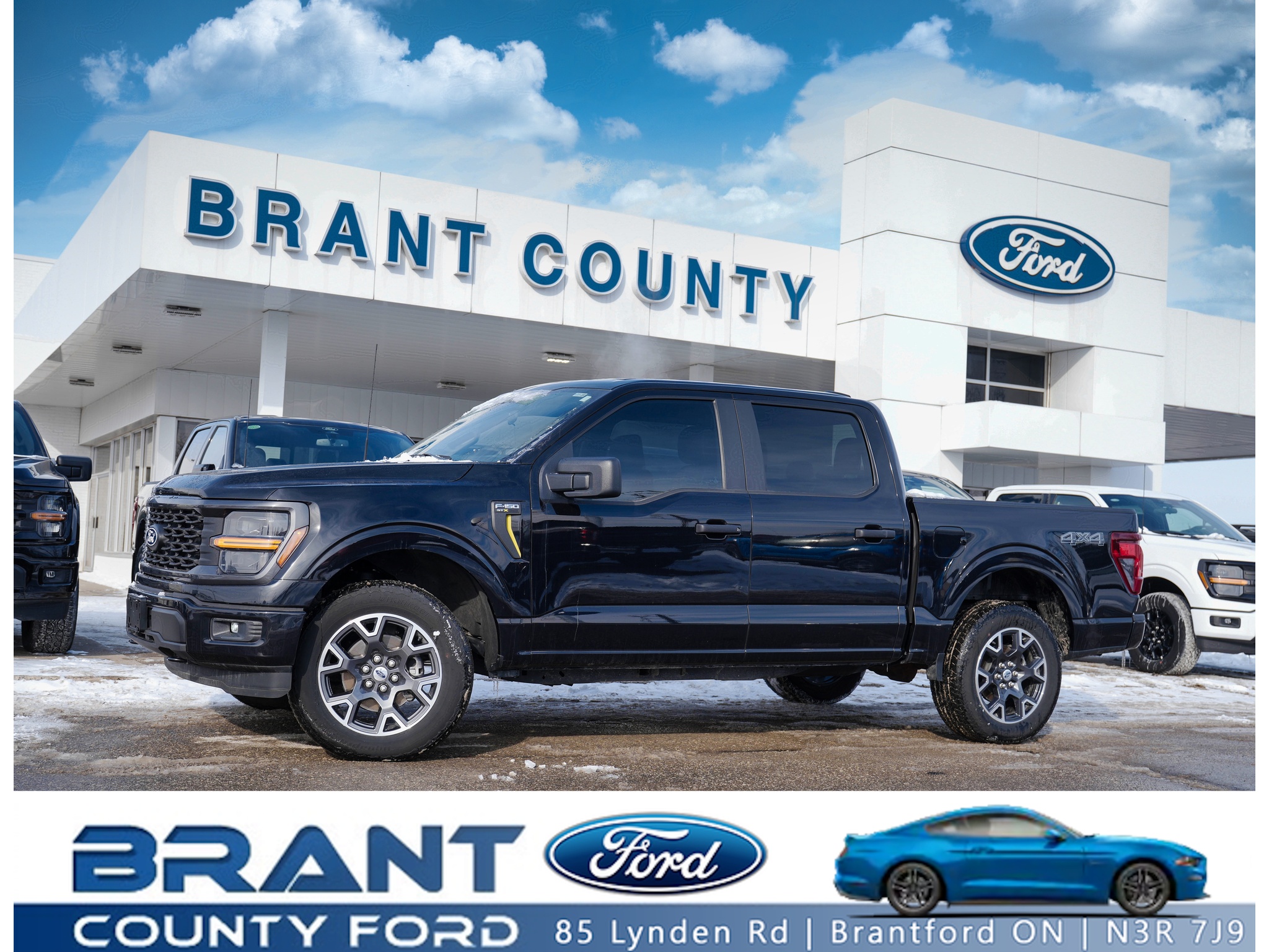 2024 Ford F-150 in Brantford | Brant County Ford - 1FTEW2LPXRKD36779